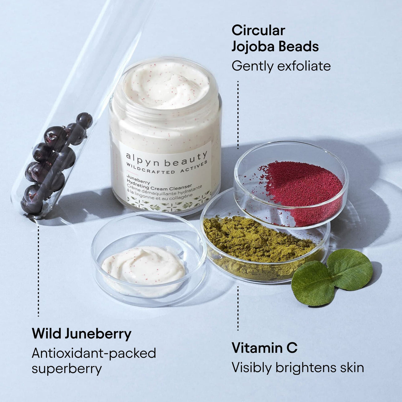 Juneberry & Vitamin C Hydrating Cream Cleanser – Alpyn Beauty