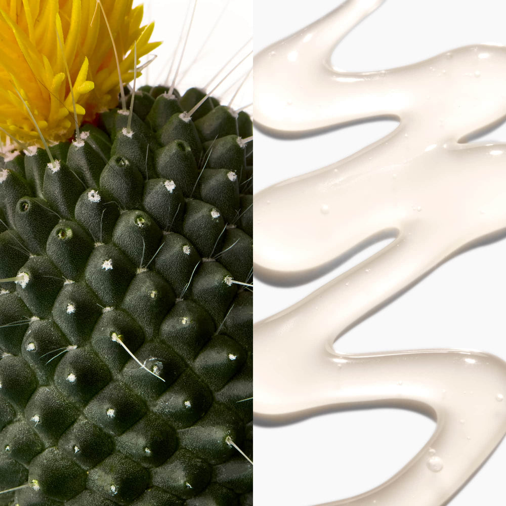 Super Sculpt Serum – Alpyn Beauty